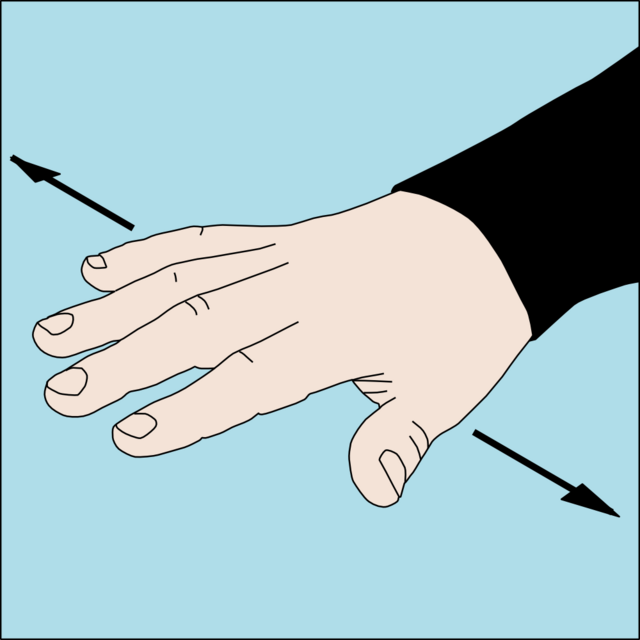 Diver Hand Signals 🐟 Scuba Joe